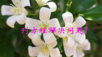 人教版六年级数学上册 3.5列方程解决问题1