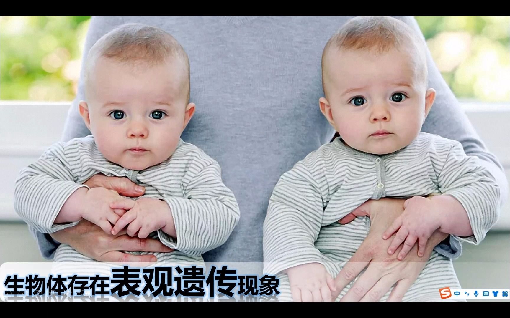 新浙科版高中生物必修二《3.5生物体存在表观遗传现象》