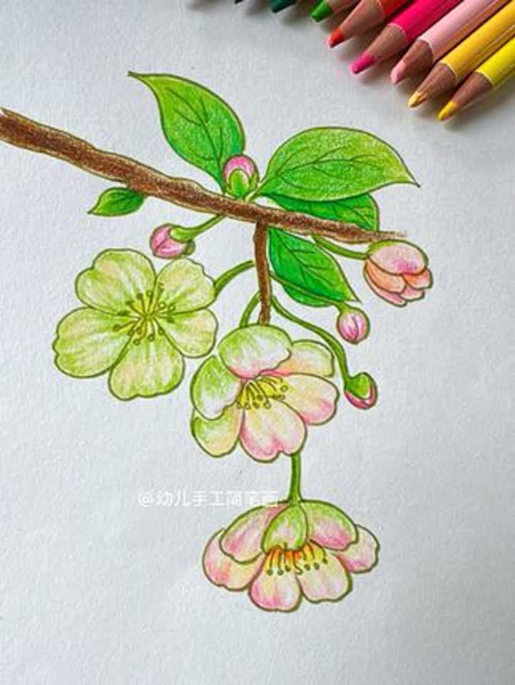 这种小清新的花朵你喜欢吗? #简易花草画法 #彩铅手绘 #简笔画 #儿童...