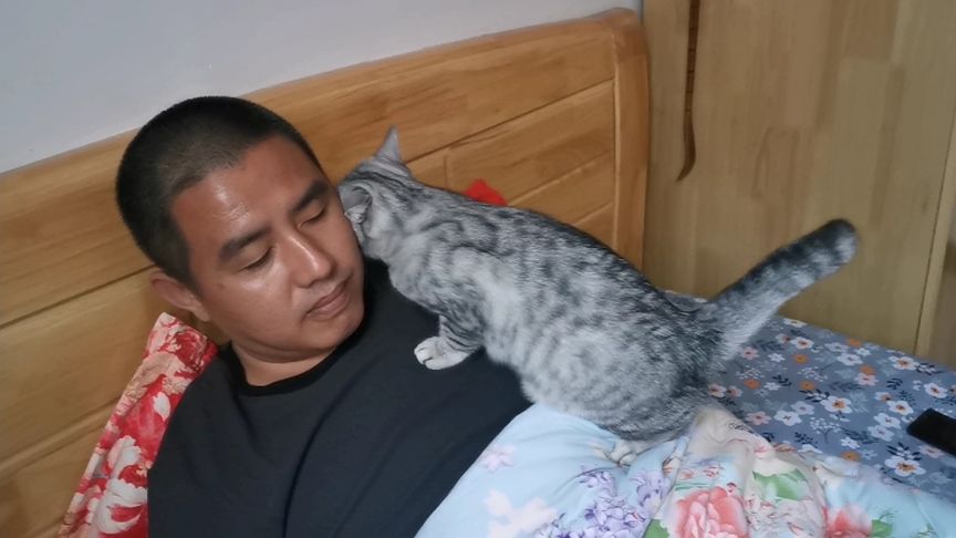 看一只小母猫如何撒娇～
