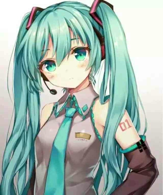 冰糖雪狸喵 