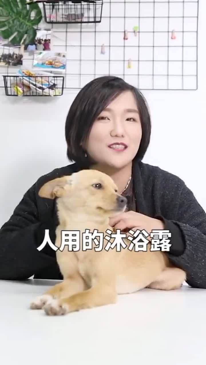在宠物店洗澡太贵?在家帮狗狗洗澡这些一定要知道.涨涨涨涨涨知识