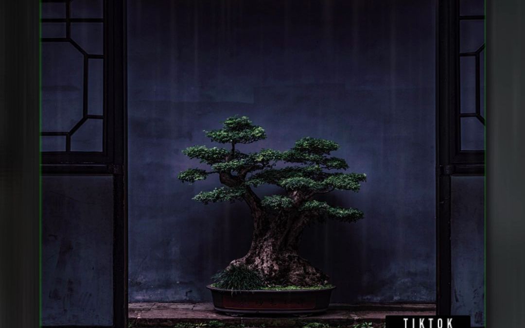 “信仰” JAZZ lofi boom bap 你的信仰是什么