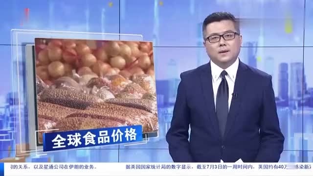 终止连涨 全球食品价格指数一年来首降