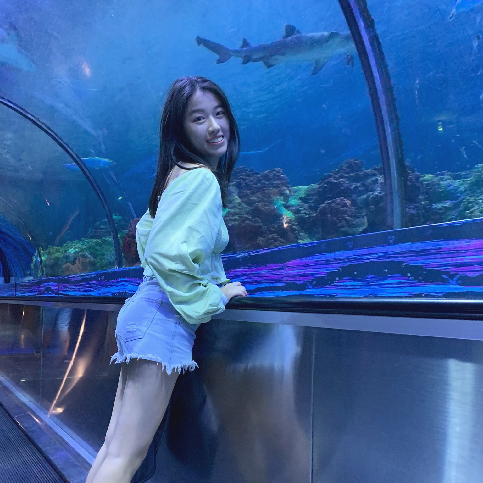 Zoey不许打喵喵 