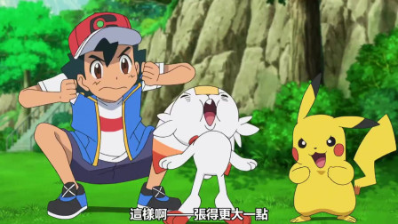 精灵宝可梦剑盾17(神奇宝贝剑盾17)