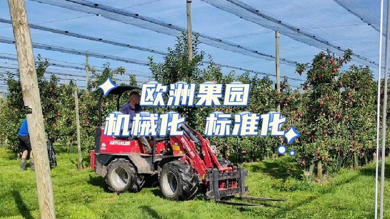 欧洲果园的机械化和标准化的程度很高