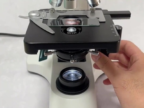 透过显微镜观察的奇妙与惊艳,隐藏着怎样不为人知的秘密?