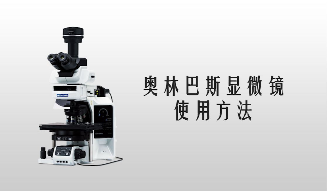 奥林巴斯显微镜的使用方法