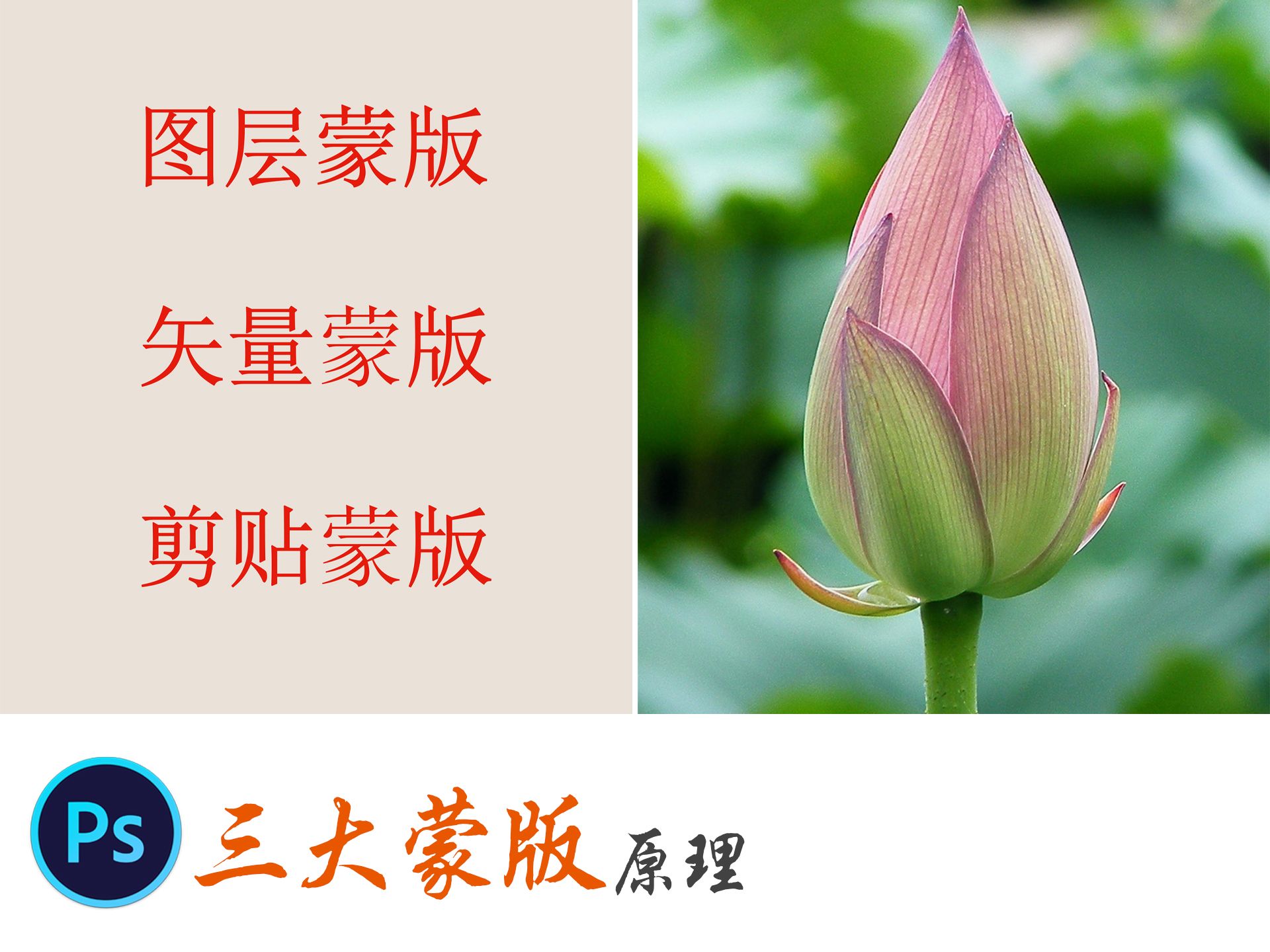 PS三大蒙版原理详解,摄影师手把手教你后期修图与调色!