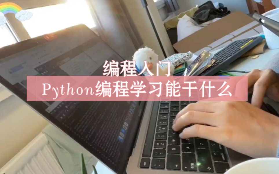 一个视频告诉你,学习Python编程有什么用