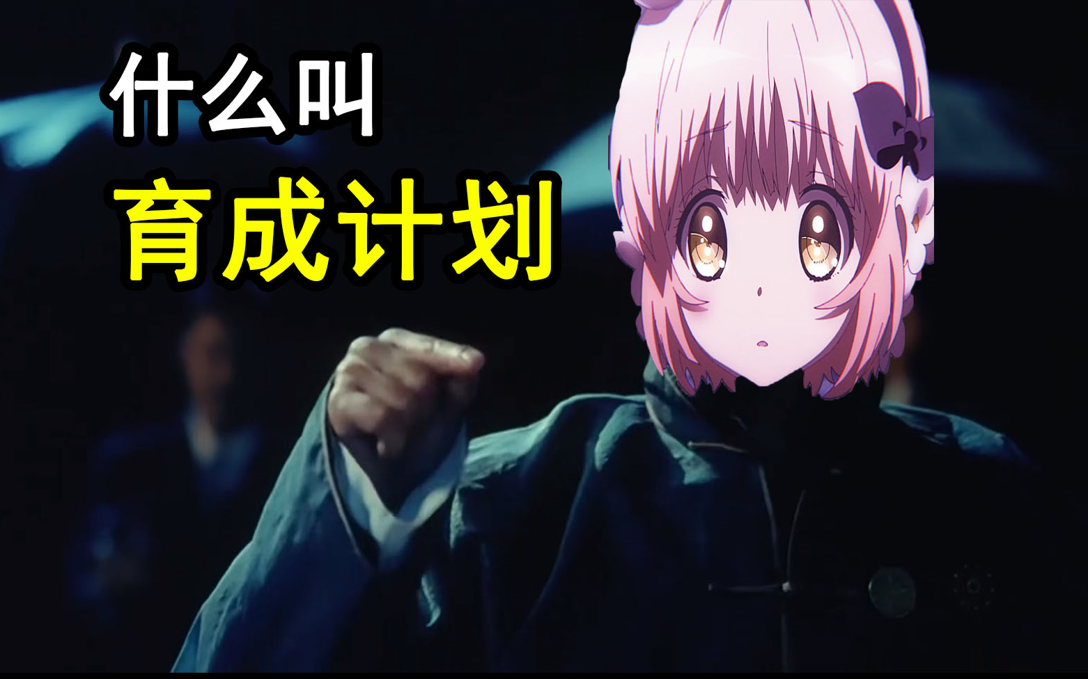 【神奇动画】你给我解释解释,什么叫做育成计划