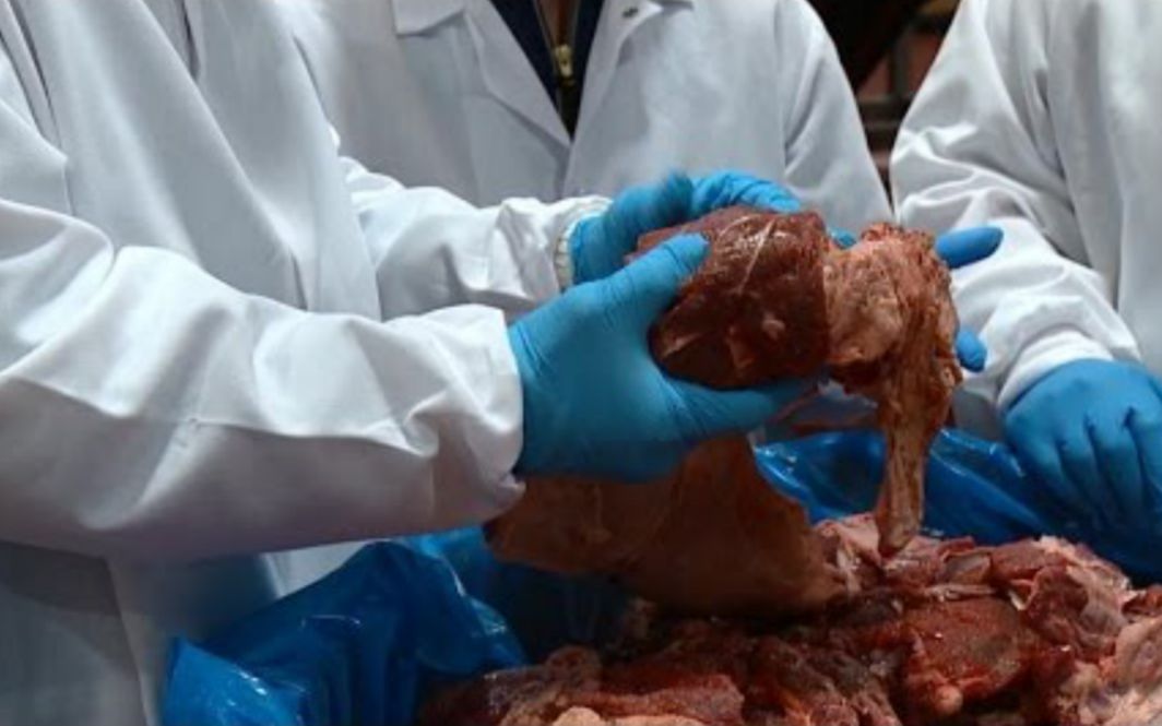 国外一家麦当劳门店的后台被曝光…网友炸开锅了!@油兔不二字幕组