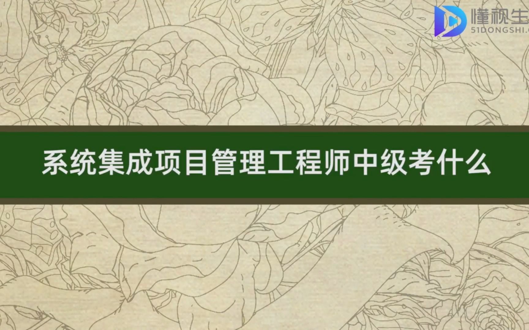 系统集成项目管理工程师中级考什么