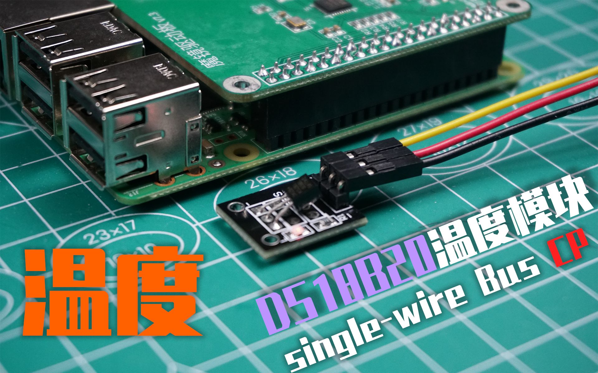 【自美】DS18B20温度模块开发教程,基于python和树莓派构建的人工...