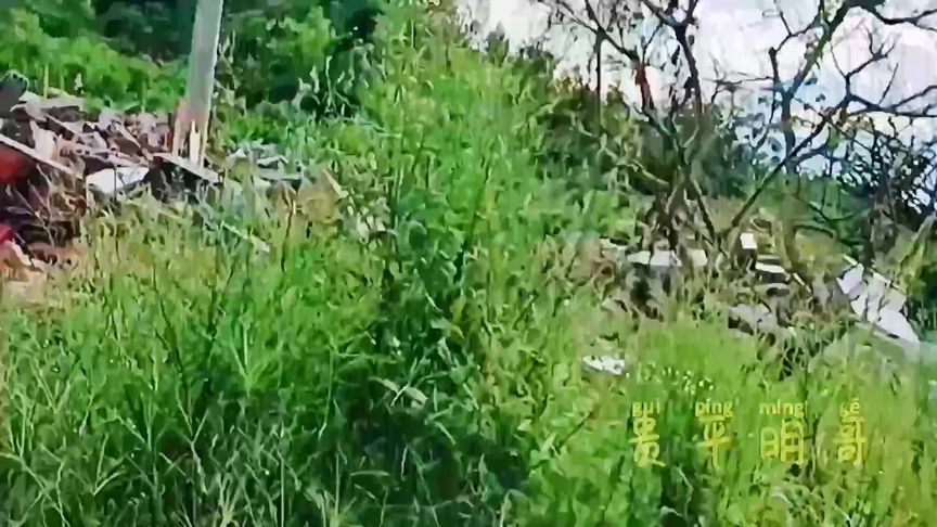 四川眉山天府新区集体土地安置补偿办法第八集安置房和安置过渡费