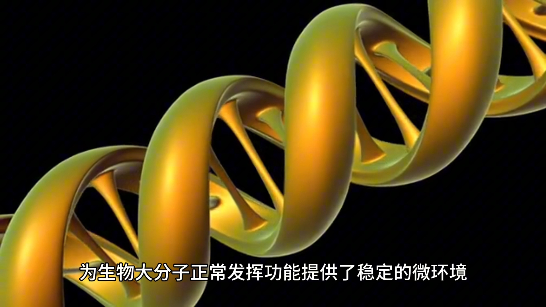 02.细胞的能量“货币”ATP