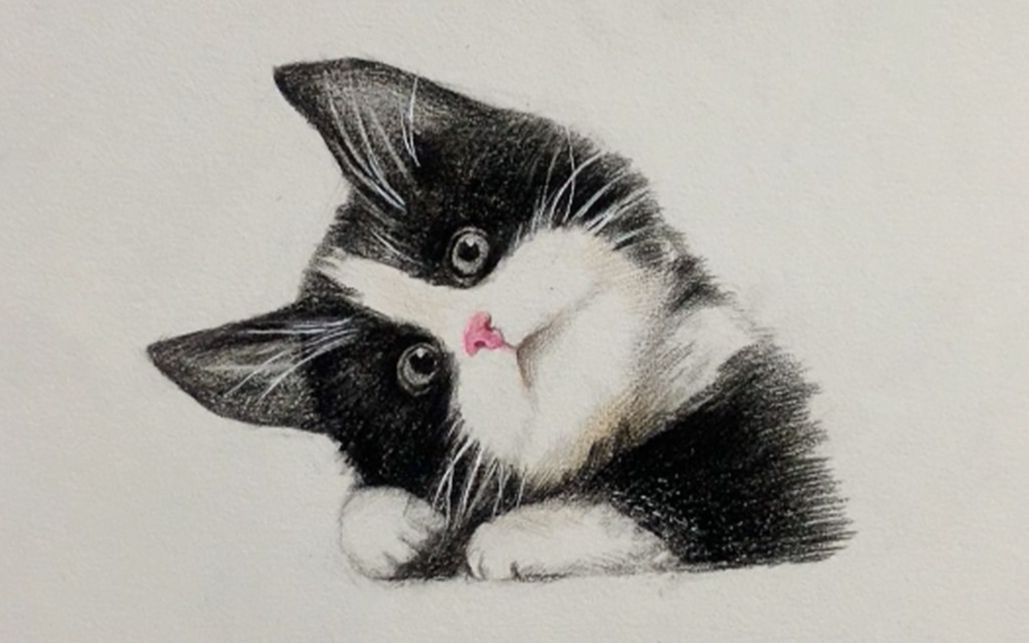 【素描入门】简单画素描之可爱猫咪 轻松解决猫毛多问题 新手小白...