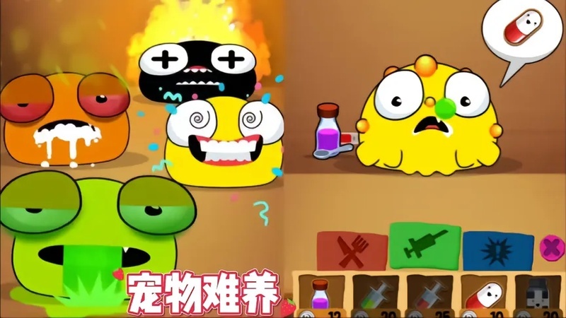 养只小宠物之这是养的宠物盲盒吧