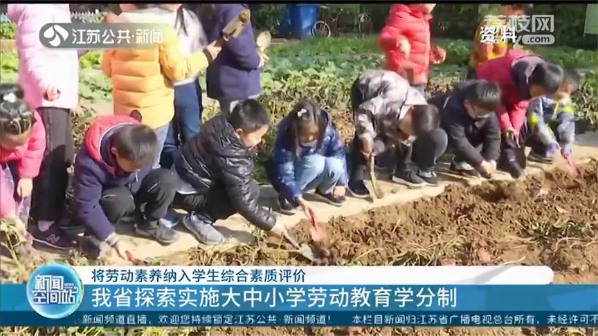 展开家庭劳动教育,劳动素养也被纳入学生综合素质评价