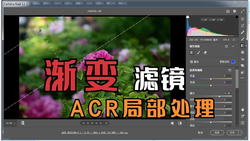第8-1节 ps-camera raw系列课,ACR渐变滤镜的运用,摄影后期调色