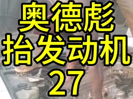 奥德彪抬发动机(27)
