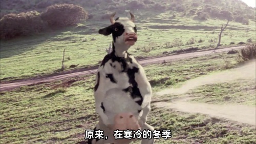 给动物们戴上VR眼镜会有什么效果