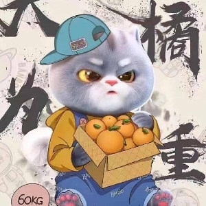 静听溪流EXCEL 