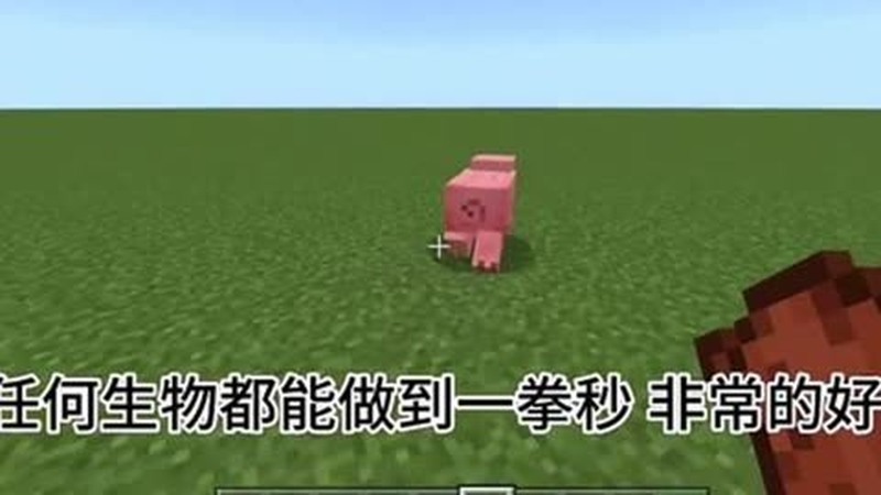 我的世界三大指令