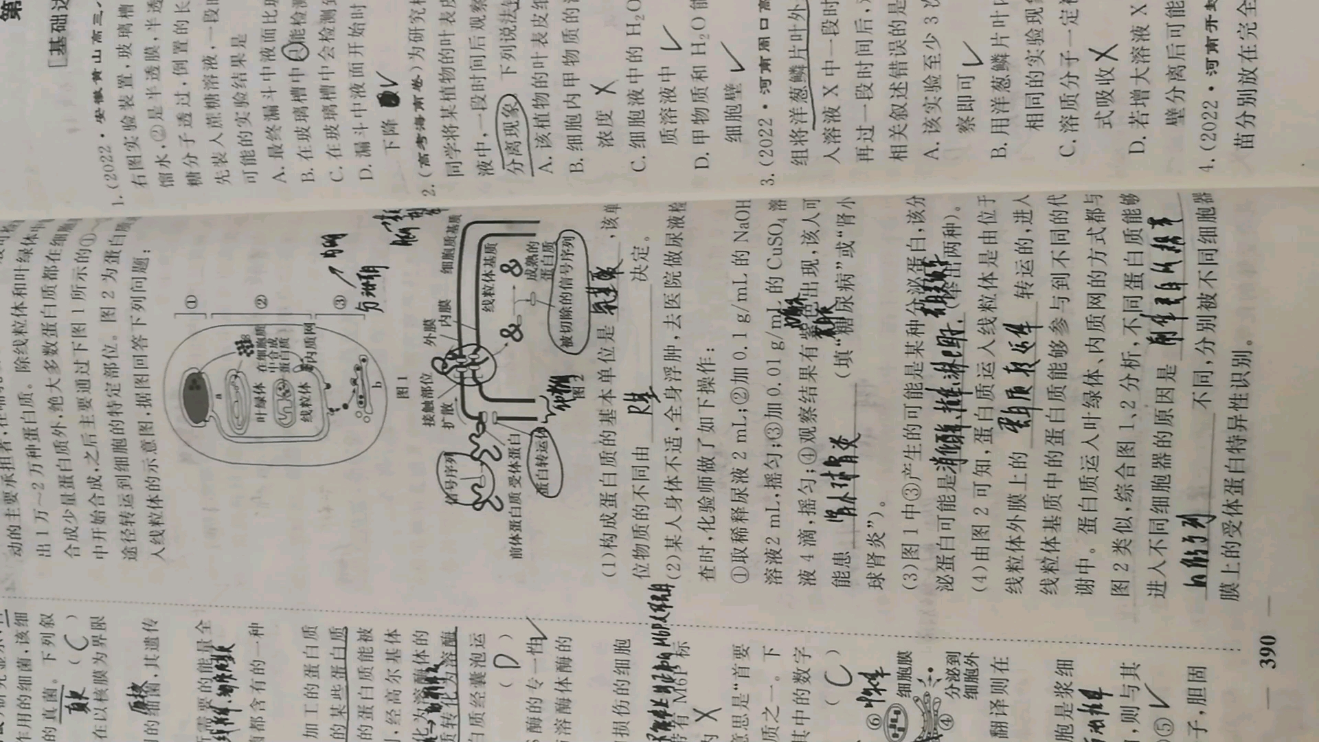 高中生物必修一:蛋白质如何进入到各种细胞器中