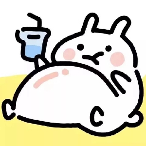 没文化孙老师 