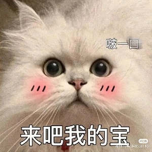 董先生er 