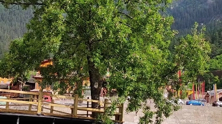 ...而且这里的藏民都信奉着正宗的藏传佛教,都是非常虔诚的苯波教徒。