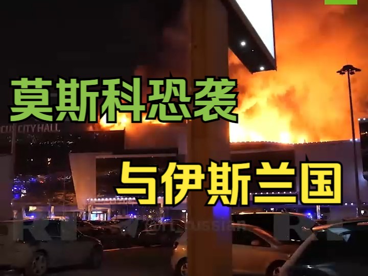 俄罗斯驻美大使回应伊斯兰国参与恐袭的言论