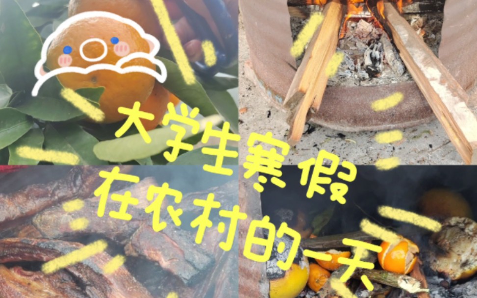 寒假第一批大学生已经回家开始《劳动》啦!