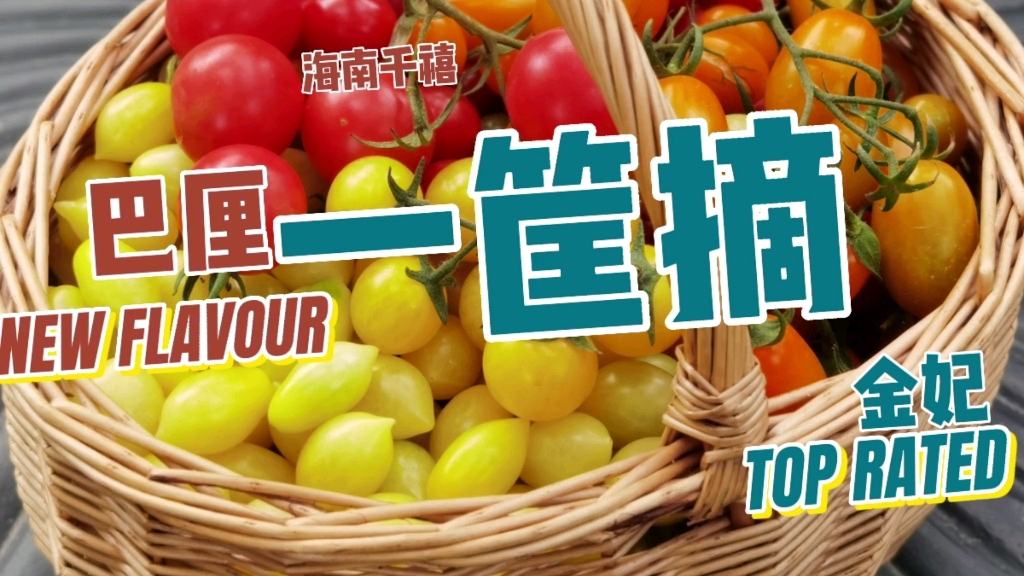 ...这几个都是容易种植的品种又好吃。摘了一筐。有盆栽,有地栽。巴厘...