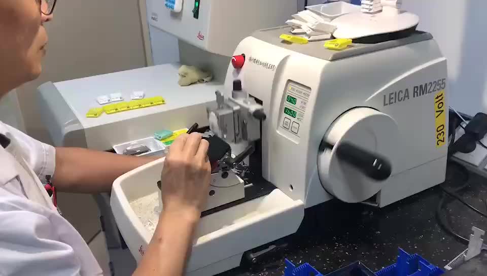 全自动转轮式切片短片