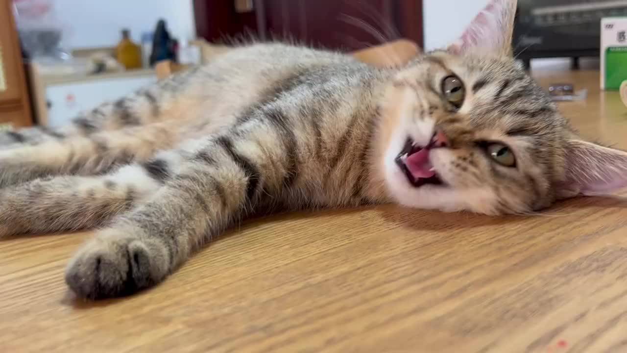 撒娇娇～.