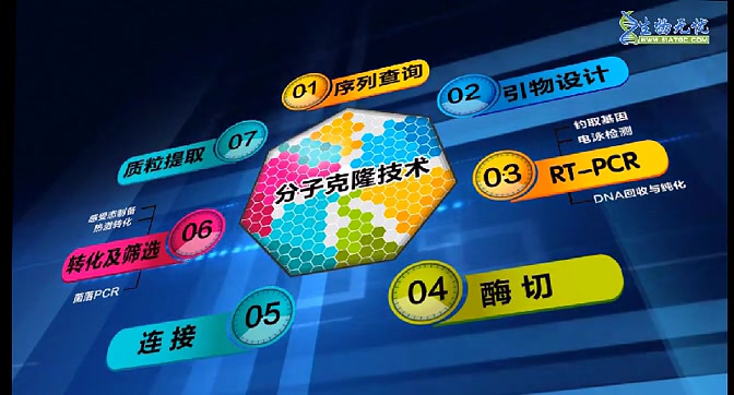 分子克隆技术(DNA重组)_高清