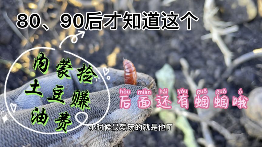 内蒙捡土豆,赚钱去西藏。几天过的很充实,也很有趣,来看看吧。