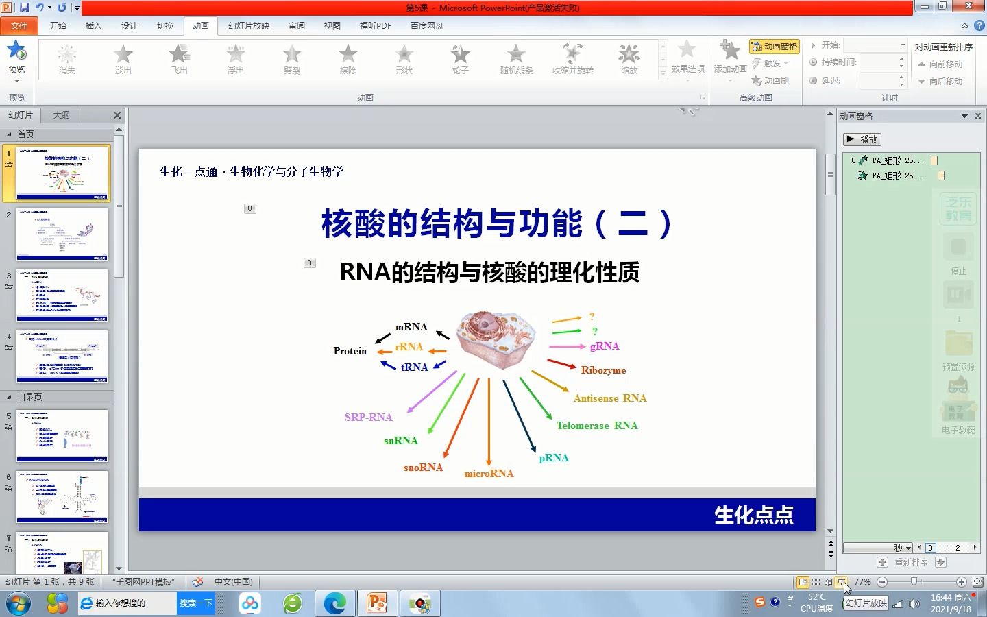 5 RNA的结构与核酸的理化性质