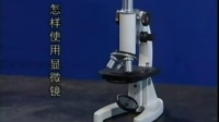 1、显微镜的结构和使用