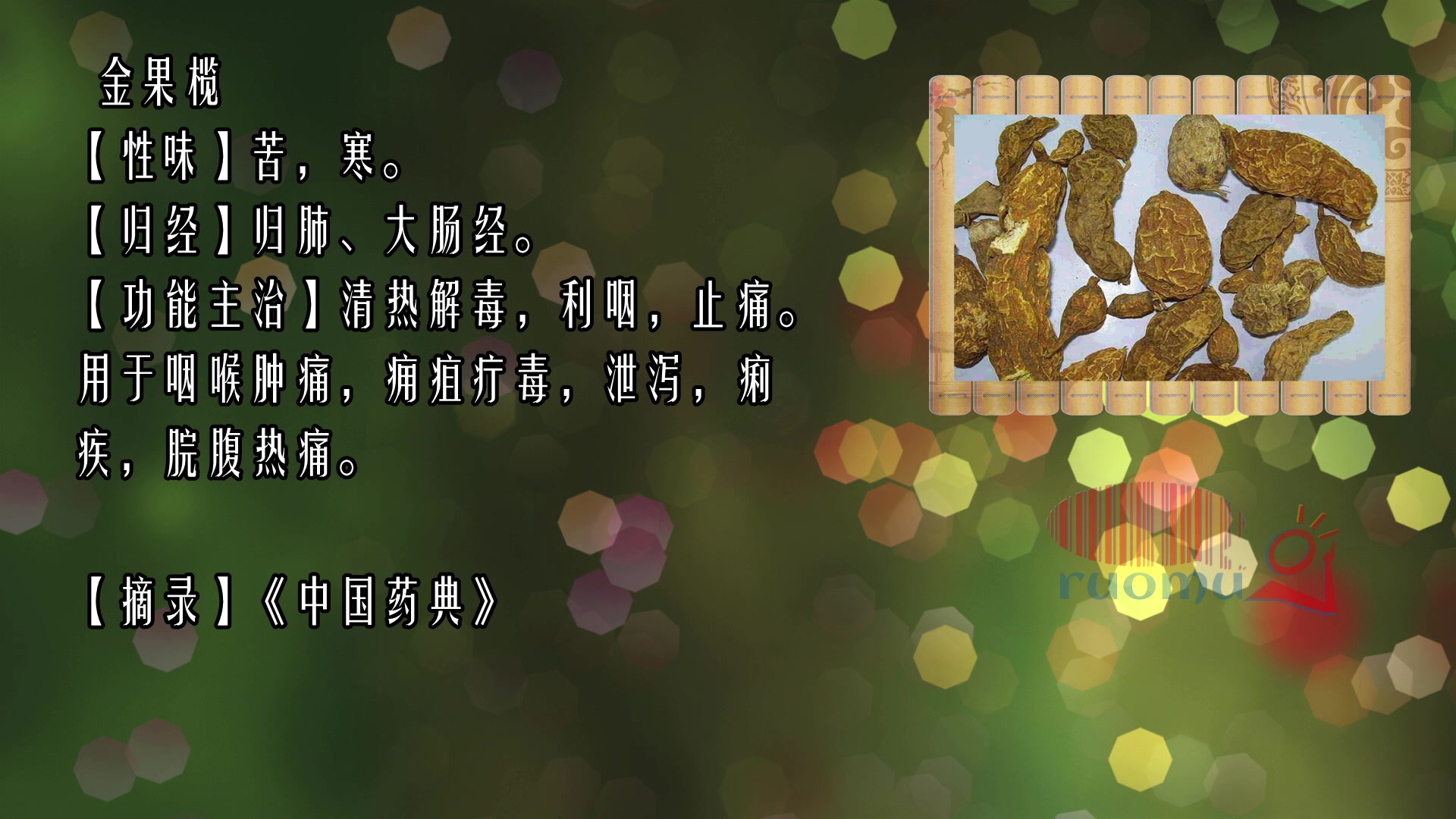 金果榄-中医药材