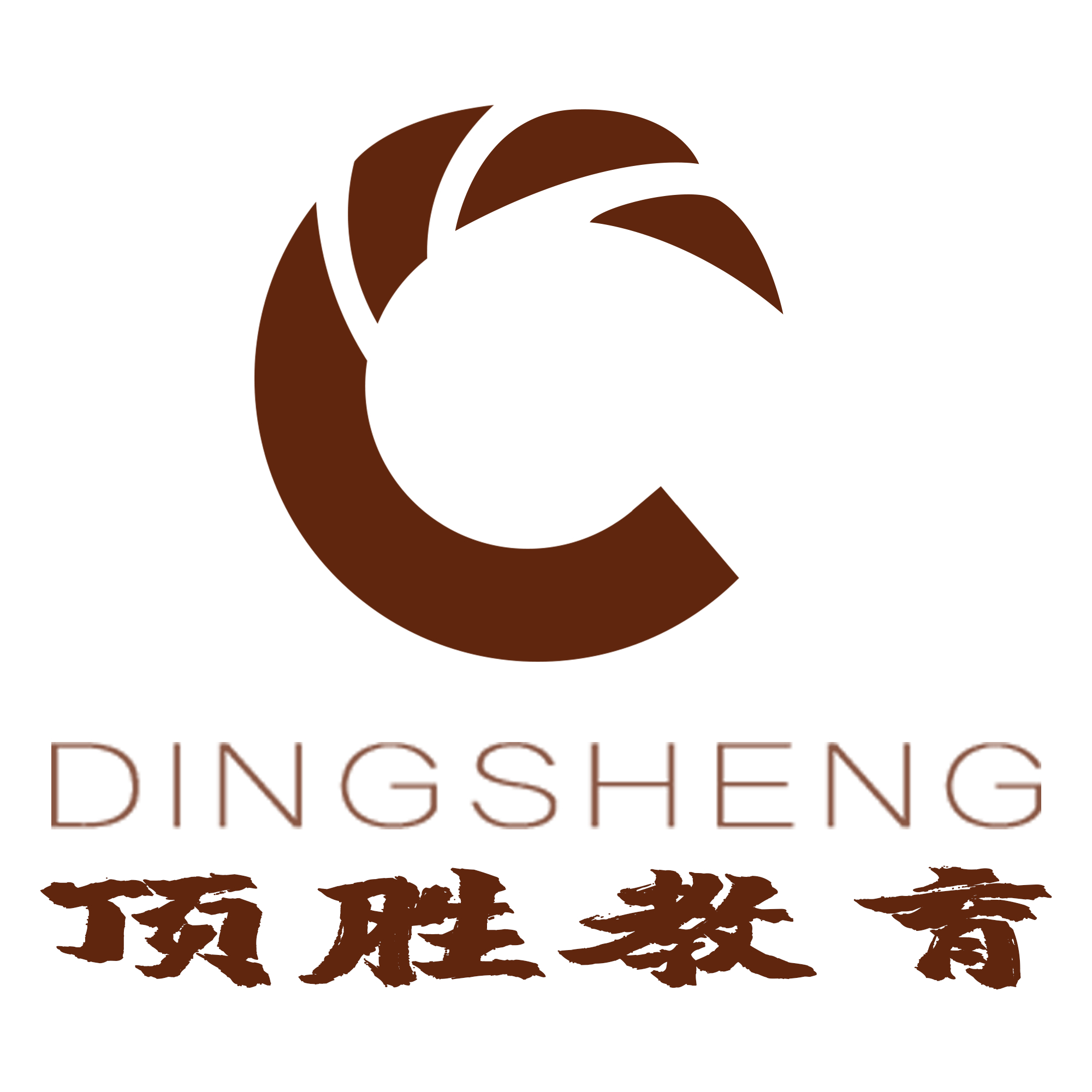 顶胜网络传媒 