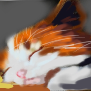 绝世懒猫nsy 