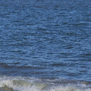 我要一直游到海水变蓝 
