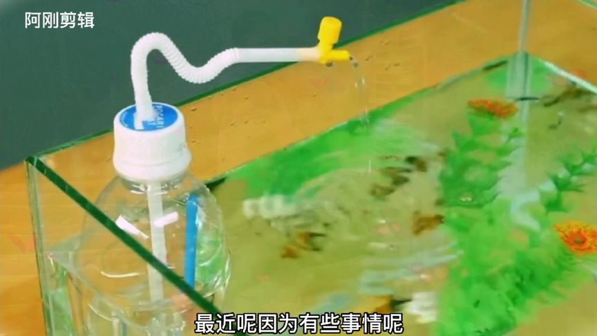带上你家宝宝,动手自制一个无动力水循环鱼缸,开动宝宝大脑。