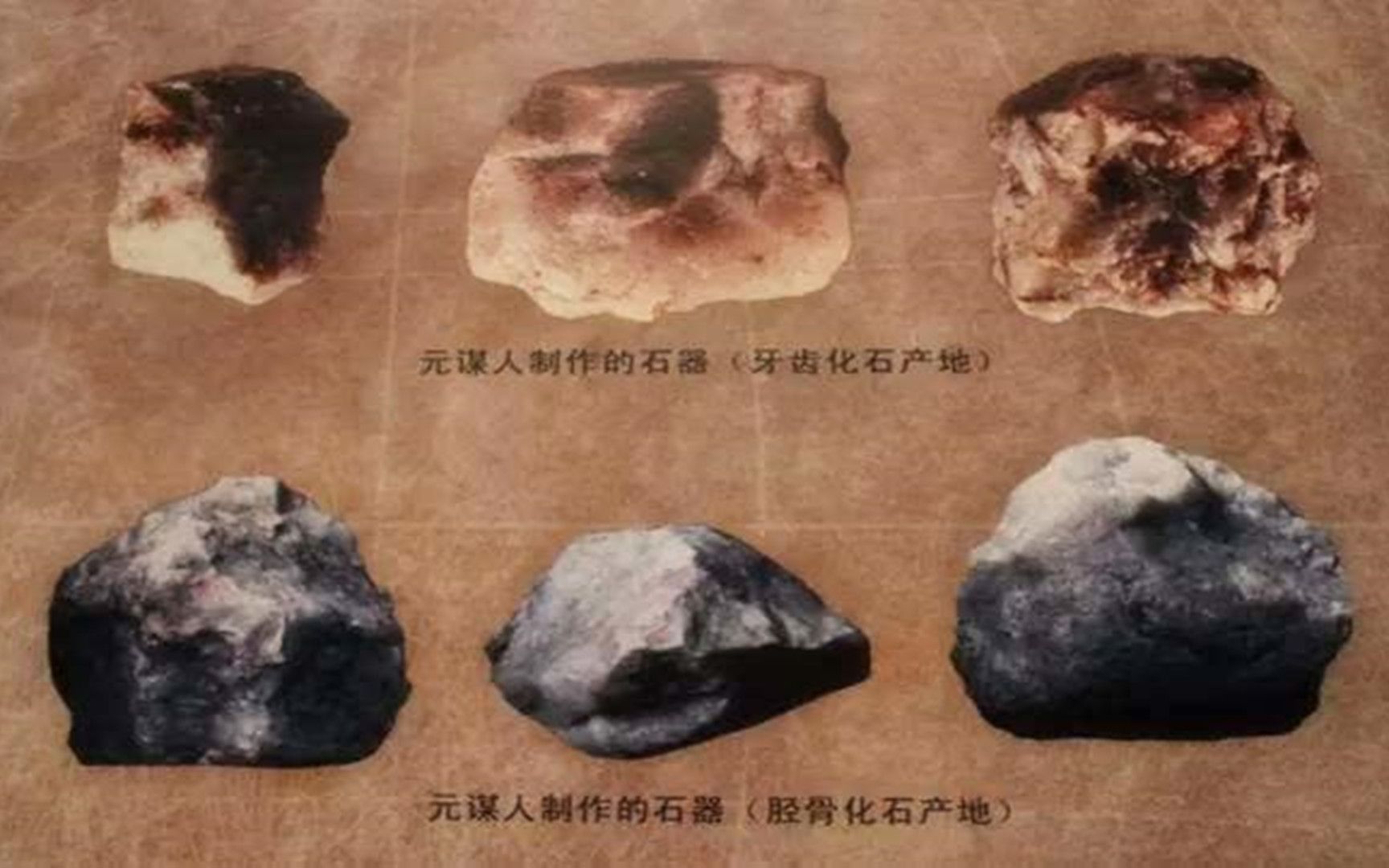 中国最早的直立人，是170万年前还是60万年前？土壤给出了答案
