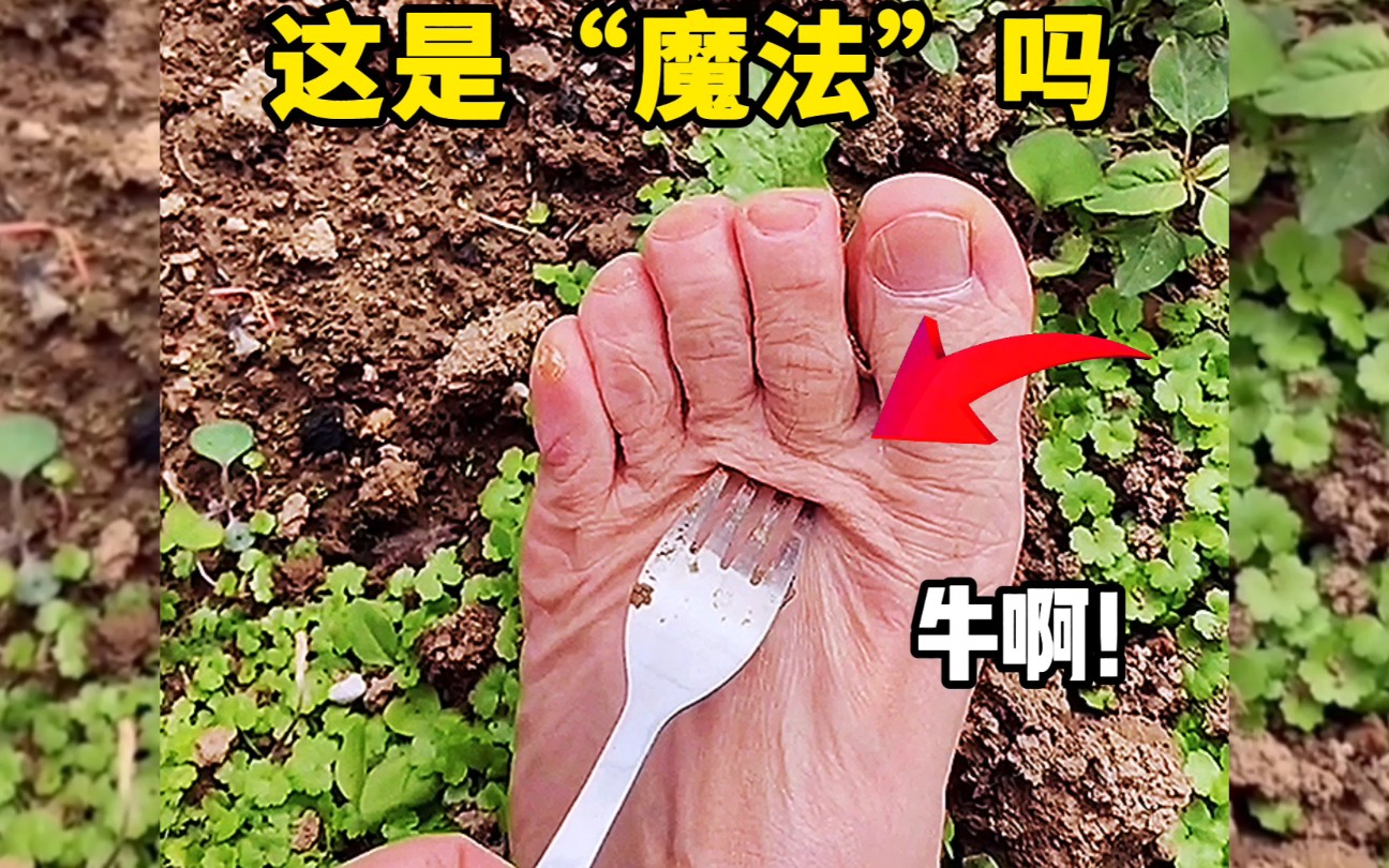 这是“魔法”吗?简直不敢相信