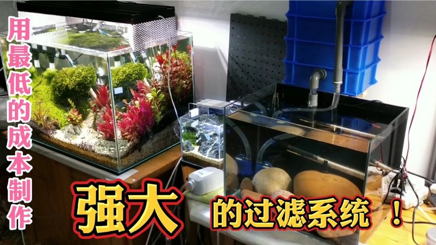 用最低的成本,制作鱼缸最强大的过滤系统,DIY细节展示